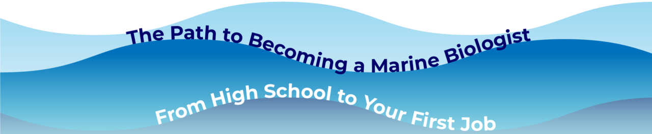 Marine Biology - Ocean Connect